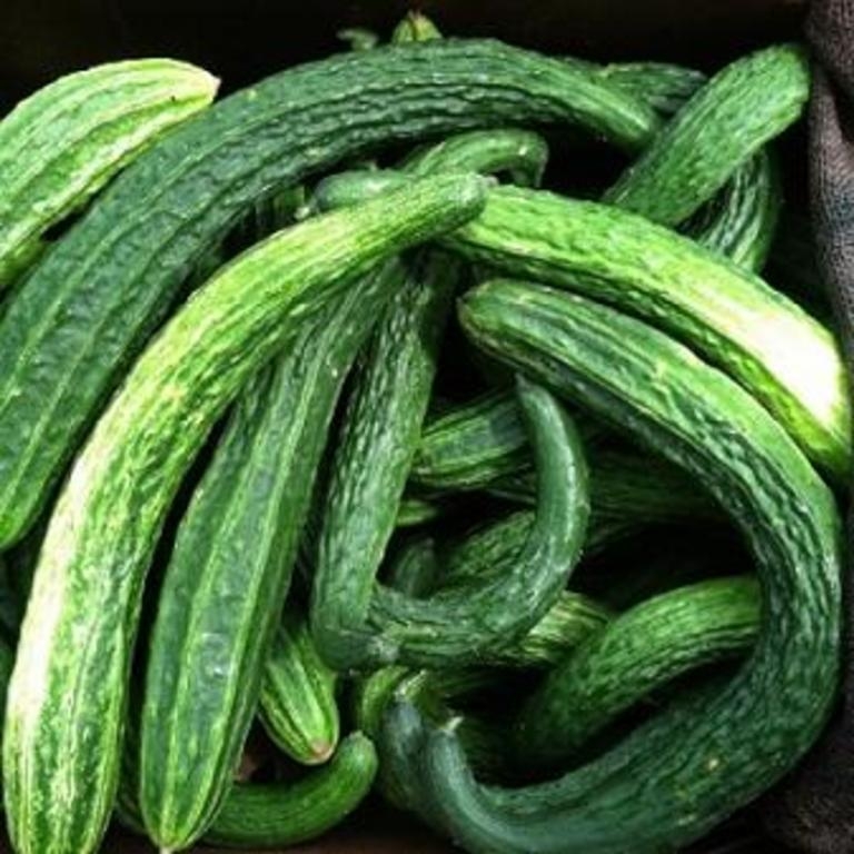 Seeds – Cucumber Japanese Long Burpless Seeds – Farmer's Market